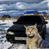 Иконка канала Ютуб Видео
