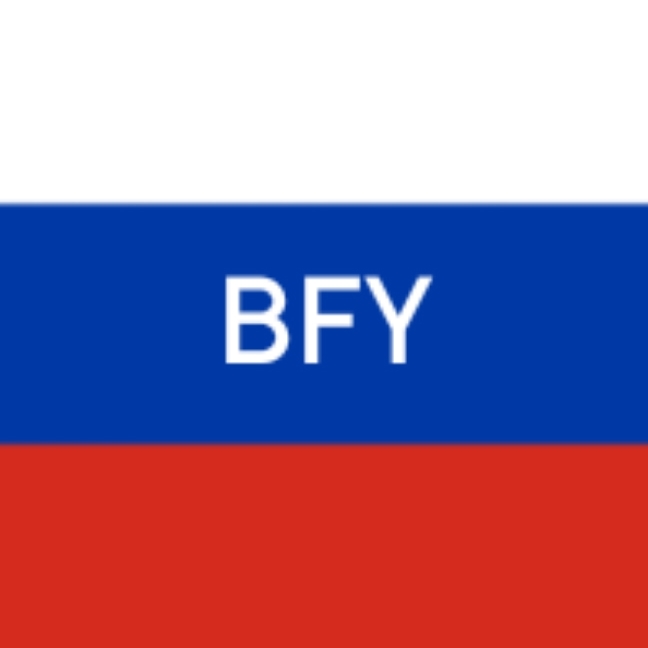 Иконка канала Bloggers From Youtube (BFY) 🇷🇺
