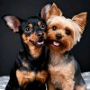 Иконка канала 🐶КИРИЛЛСИК🐶