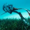Иконка канала Подводная охота Иркуской области
