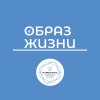 Иконка канала ПроОбраз Жизни|Недвижимость Санкт-Петербург