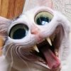 Иконка канала /×\{}♡°`~гУгУ гАгА~`°♡{}/×\