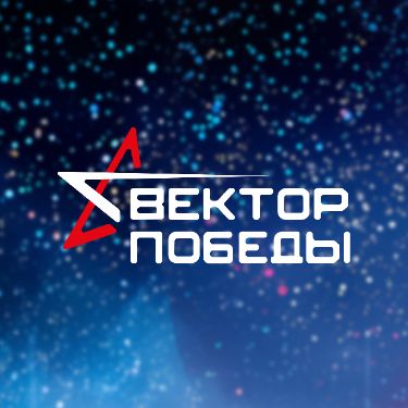 Иконка канала Вектор победы