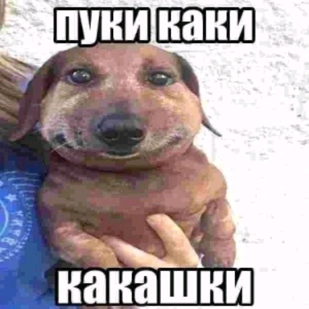 Иконка канала w1zych3kk