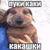 Иконка канала w1zych3kk