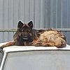 Иконка канала Dimon24k🇷🇺🔥:-)