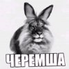 Иконка канала channel78382875