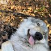 Иконка канала [Яся_фифа].