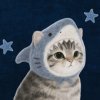Иконка канала °🧊🦈Ａｎｎａฅ^•ﻌ•^ฅ🦈🧊°