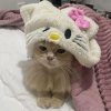 Иконка канала 🌺Вика🌺