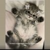 Иконка канала ♡Family My day Soin♡