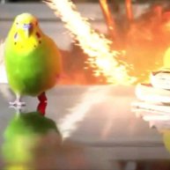 Иконка канала POWER WAVE
