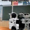 Иконка канала Gray Cat