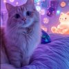 Иконка канала KOTNK KPACATУЛR