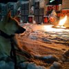 Иконка канала 🐕🦺Джек ко мне🐕🦺