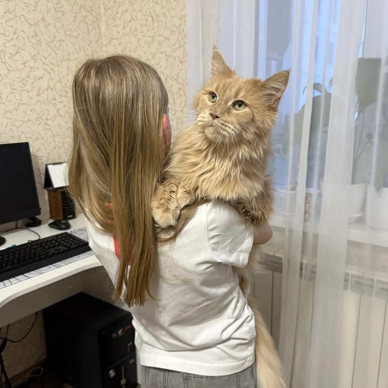Иконка канала mirochka✨