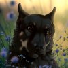 Иконка канала ✨°• WoW DoGs •°💫