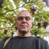 Иконка канала Брянский сад.