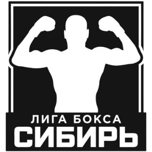 Иконка канала Лига Бокса Сибирь