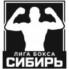Иконка канала Лига Бокса Сибирь