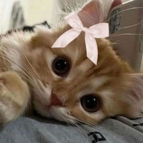 Иконка канала ★♪АРина♪★