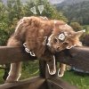 Иконка канала Polinka Квд😺😽😸