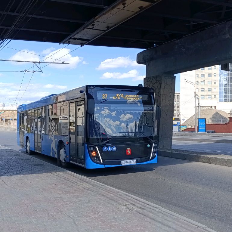 Иконка канала Красноярский автобусник 124