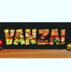 Иконка канала vanzai