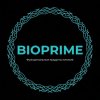 Иконка канала BIOPRIME