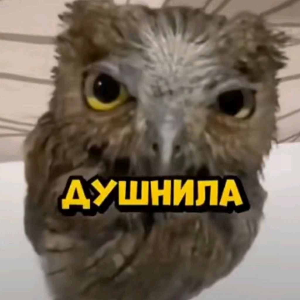 Иконка канала А4