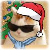 Иконка канала 🦁ПРО54К🦁вова☑️❄️☃️