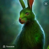 Иконка канала BEN🐰👑🥕