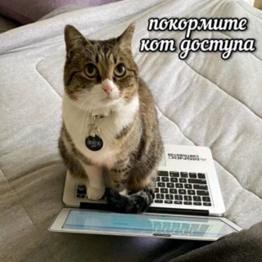 Иконка канала Котики! А Мы Играем