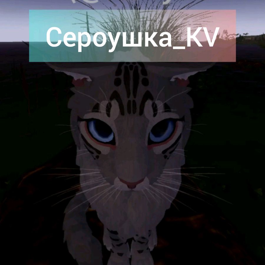Иконка канала Сероушка_KV