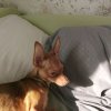 Иконка канала Marcus