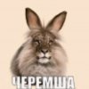 Иконка канала Черемша