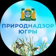 Иконка канала Природнадзор Югры