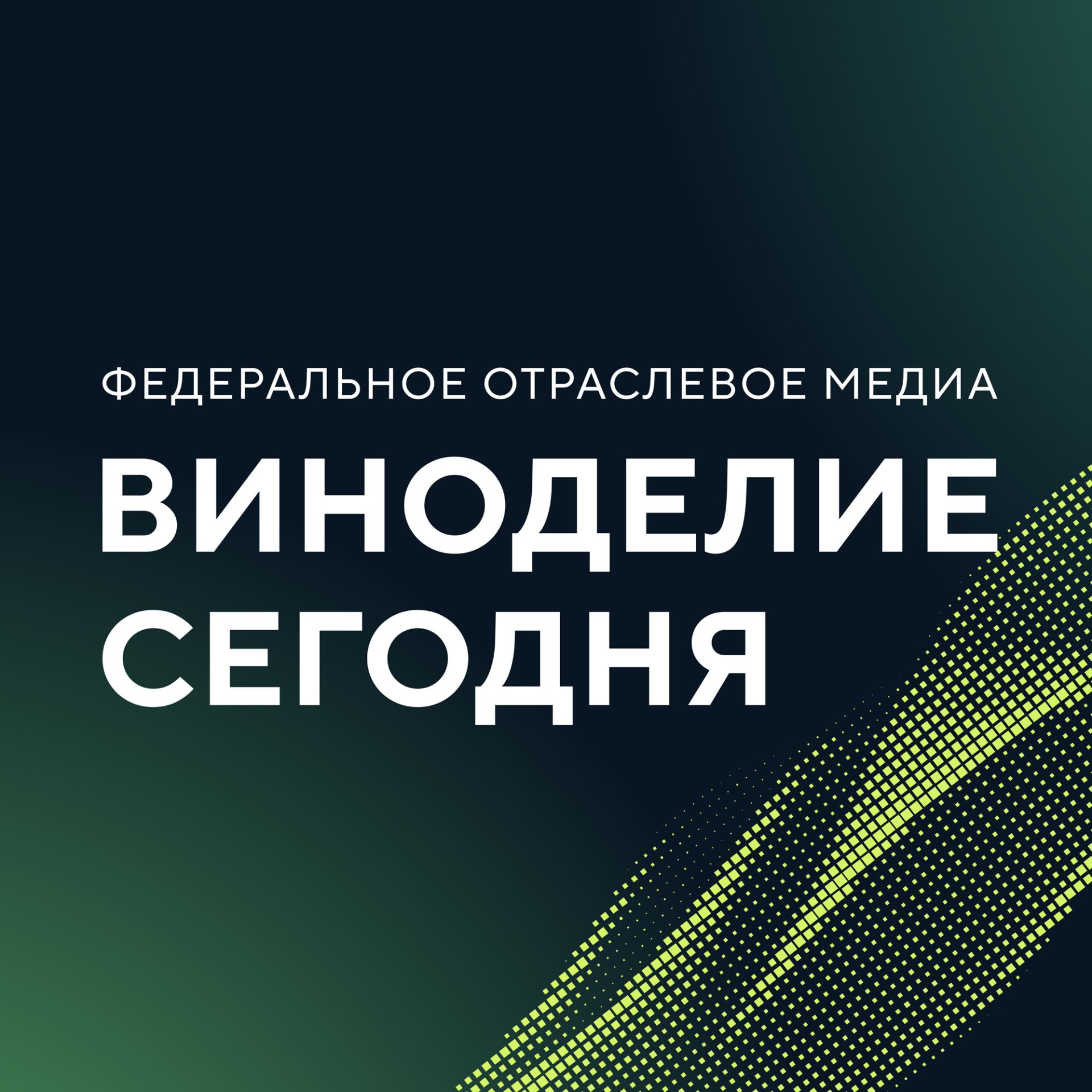 Иконка канала ВИНОДЕЛИЕ СЕГОДНЯ