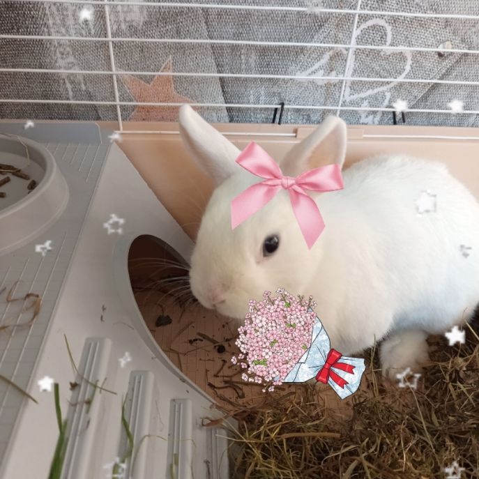 Иконка канала Весенняя🐰