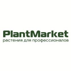 Иконка канала PlantMarket