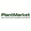 Иконка канала PlantMarket