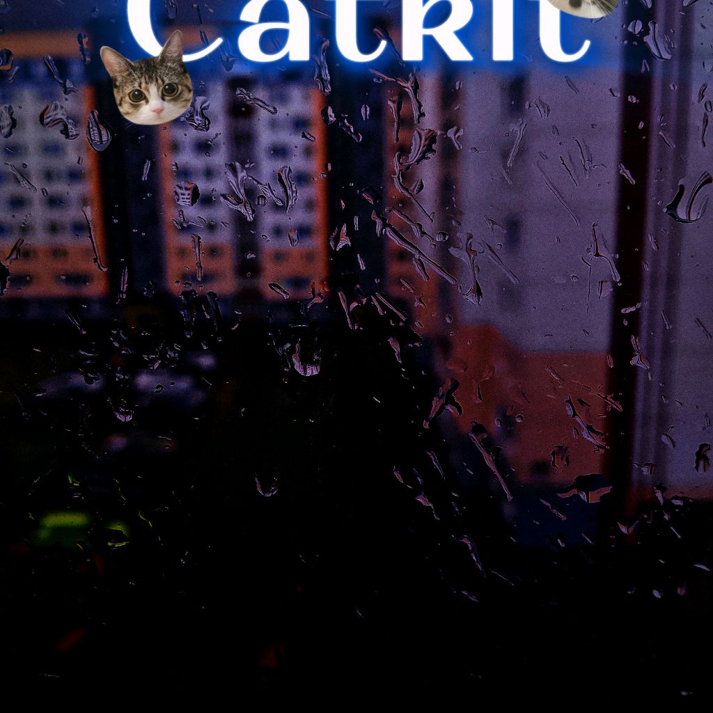Иконка канала 🩵💎PÏĞËŒÑ THE ÇÆT💎🩵