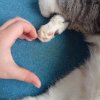 Иконка канала Полина 🤘(⁠｡⁠•̀⁠ᴗ⁠-⁠)⁠✧