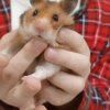 Иконка канала Данильчик Играет