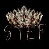 Иконка канала STEF