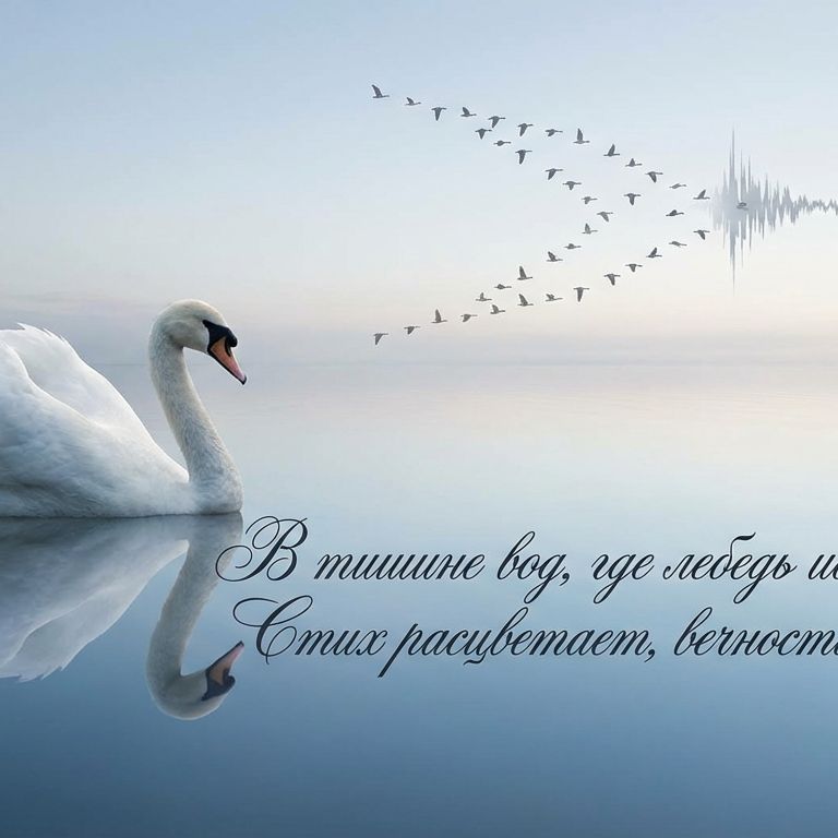 Иконка канала "Стих & Я"