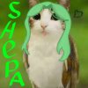 Иконка канала ~υᥴⲕ𐔤ᥴᥴⲧⲃ𐔖 ɯᥱᥒы~