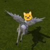 Иконка канала PRETTEK Wild