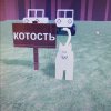 Иконка канала летний T1T1B0Y