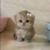 Иконка канала ♪♫*•♪｡･:*:･ﾟ’☆📚Милка Мика｡･:*:･ﾟ’☆♪♫*•♪